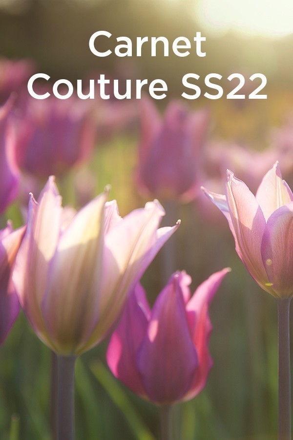 Tessuti pregiati online | Carnet - Carnet