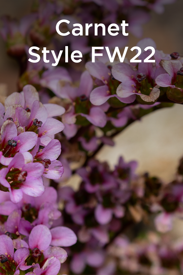 High-end Fabrics Online | Carnet - Carnet